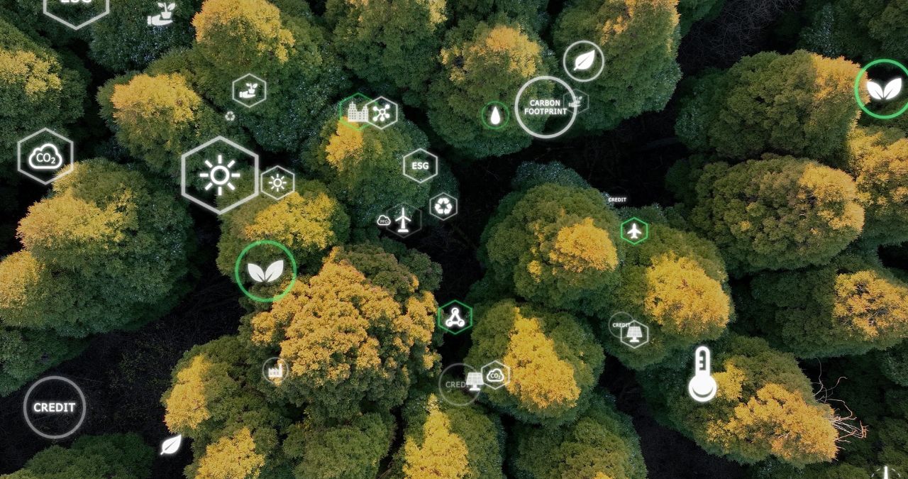 How Drones and AI Are Transforming Tree Care| Tree Services of Omaha